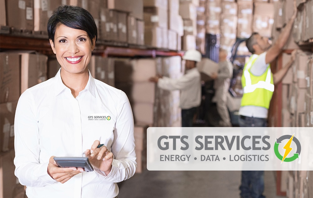 GTS Services Test - Global Technology Systems